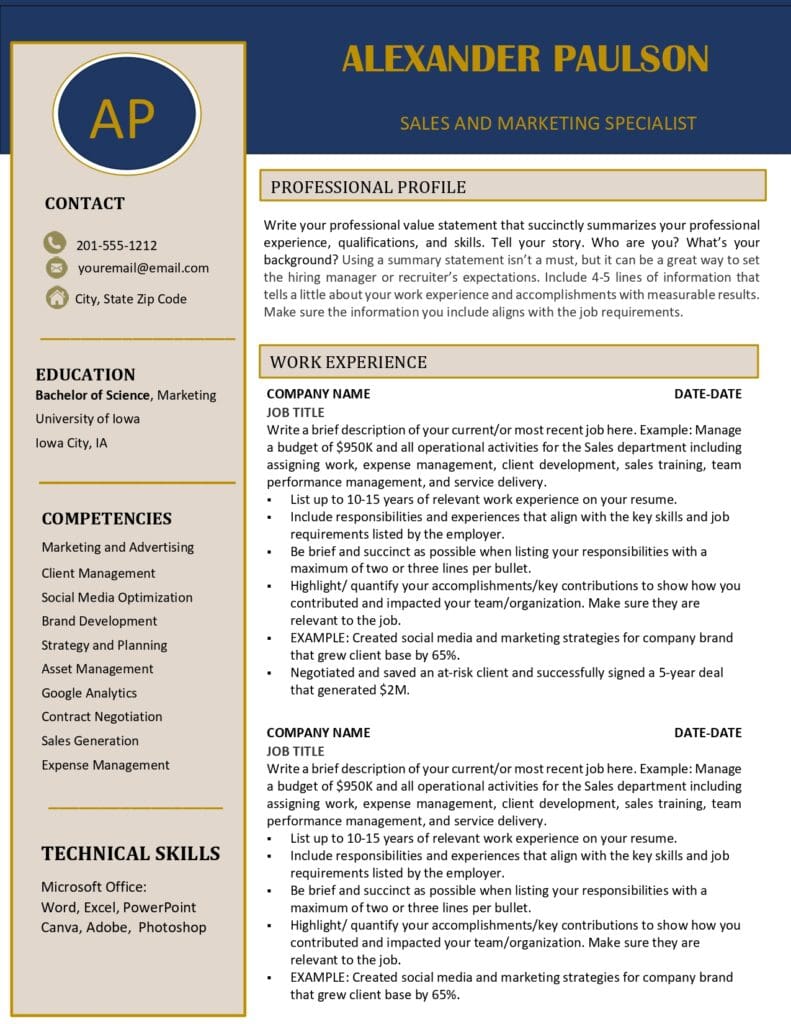 Platinum Resume Template - Easy Resume Templates